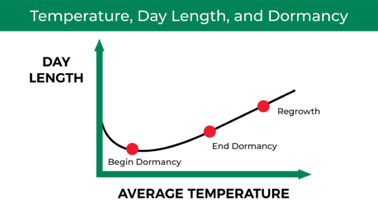 Why Plants Go Dormant in Winter & How it Works | Jobe's